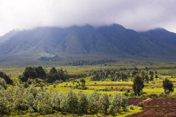 5 Things to Know About the Virunga - Virunga Guide